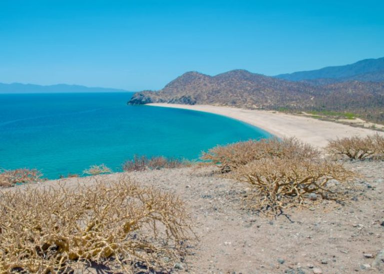18 Best Beaches in Baja Mexico - Mexico Dave