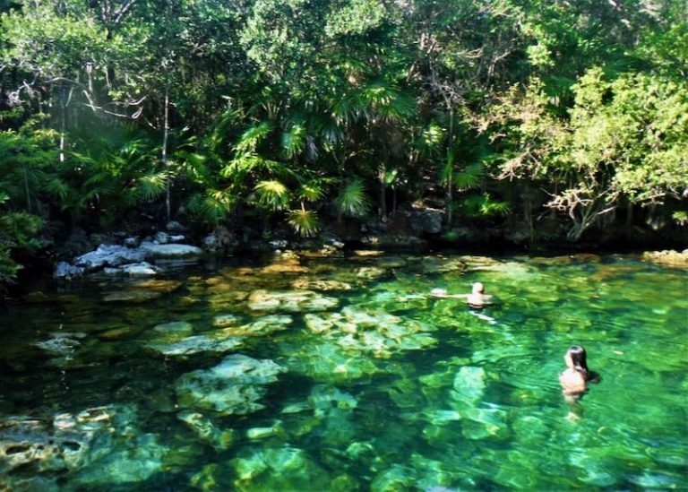 13 Best Cenotes near Tulum - Where to Swim & Snorkel